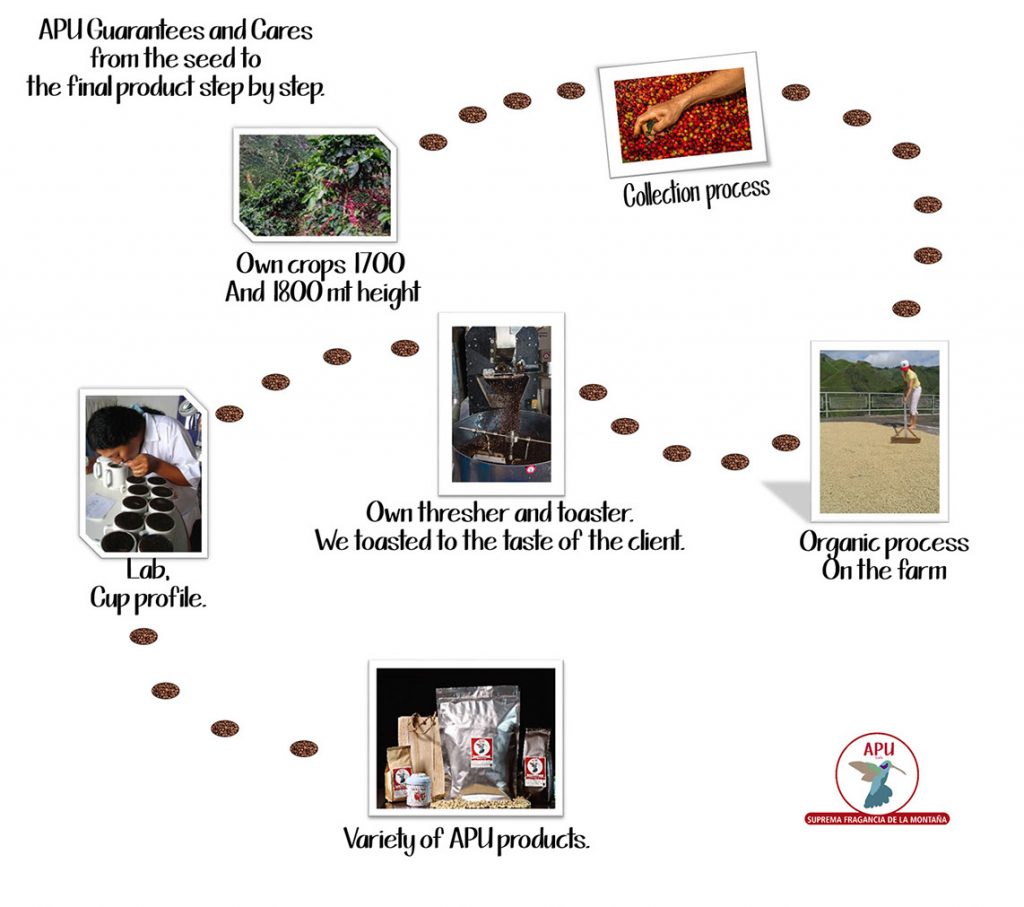 Nosotros | Apu Café